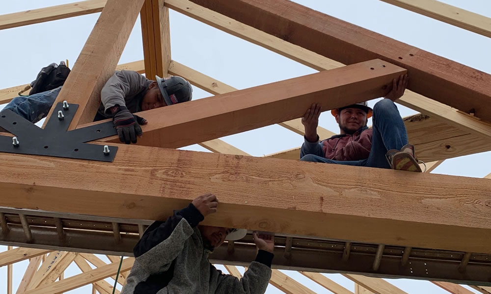 Here We Grow Again | Buffalo Framing & Truss